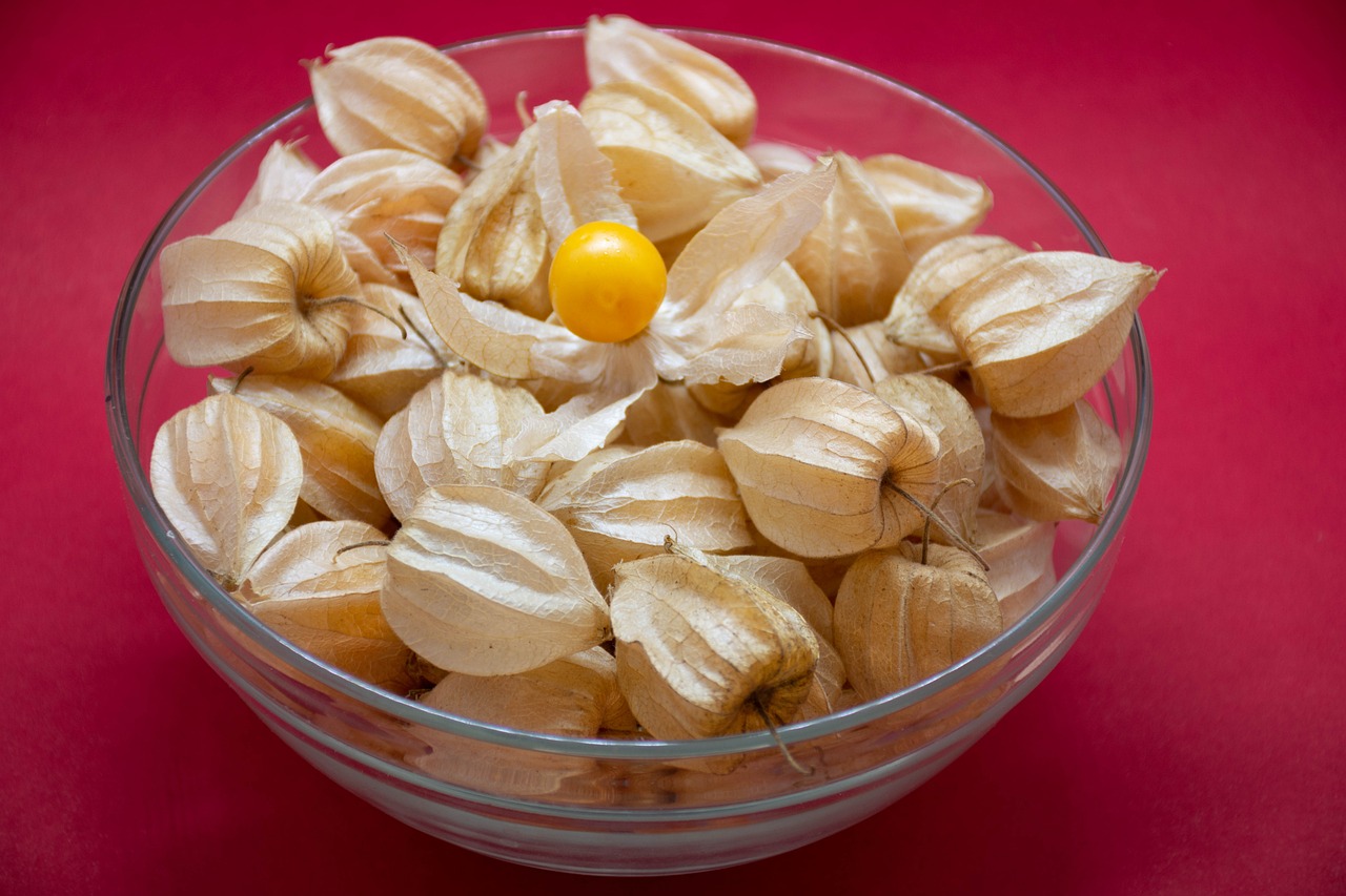 Ce este physalis - Daniel Matasaru
